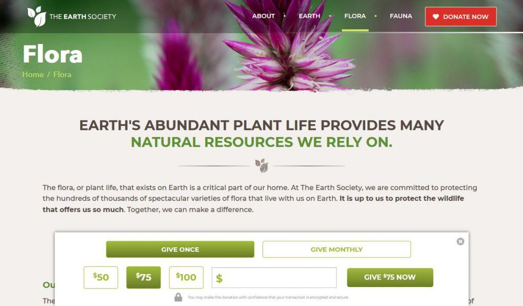 How to Use FlexFormz on Your Website - FlexFormz Documentation
