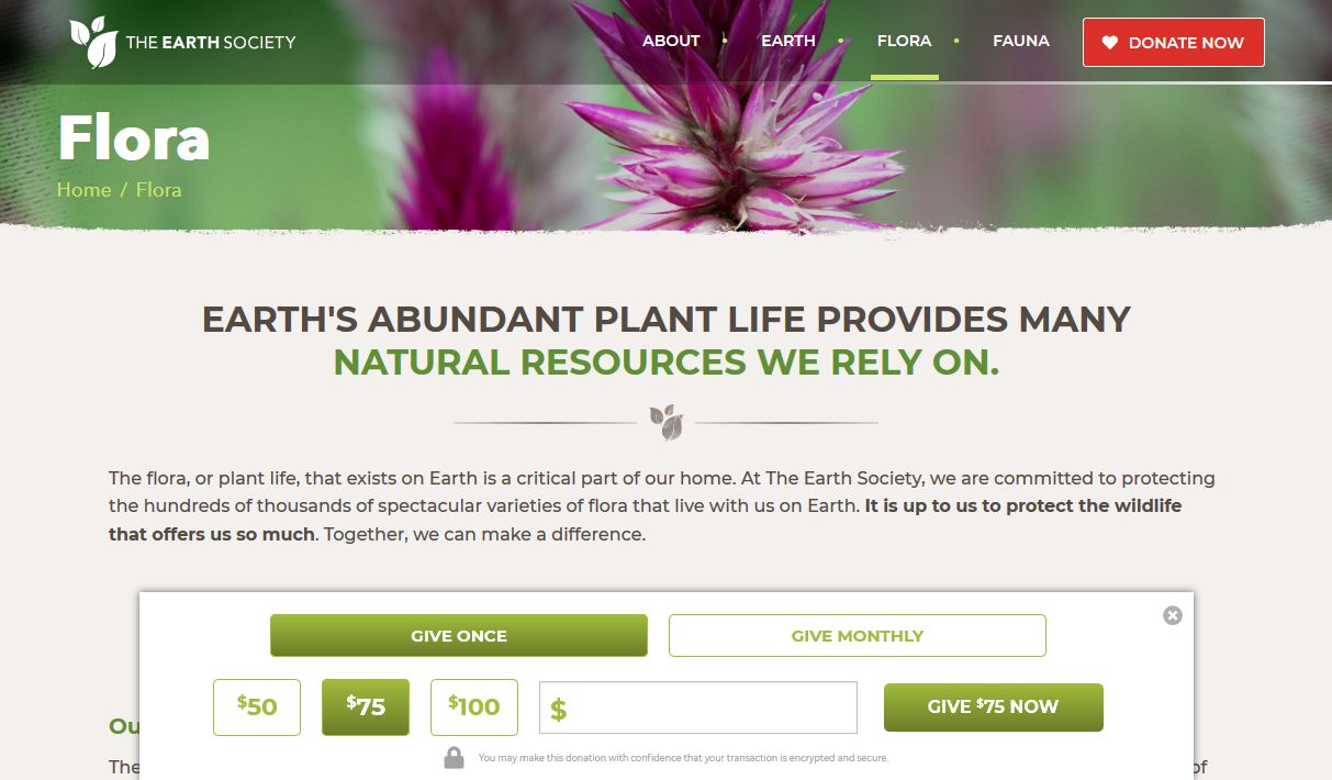 How to Use FlexFormz on Your Website - FlexFormz Documentation