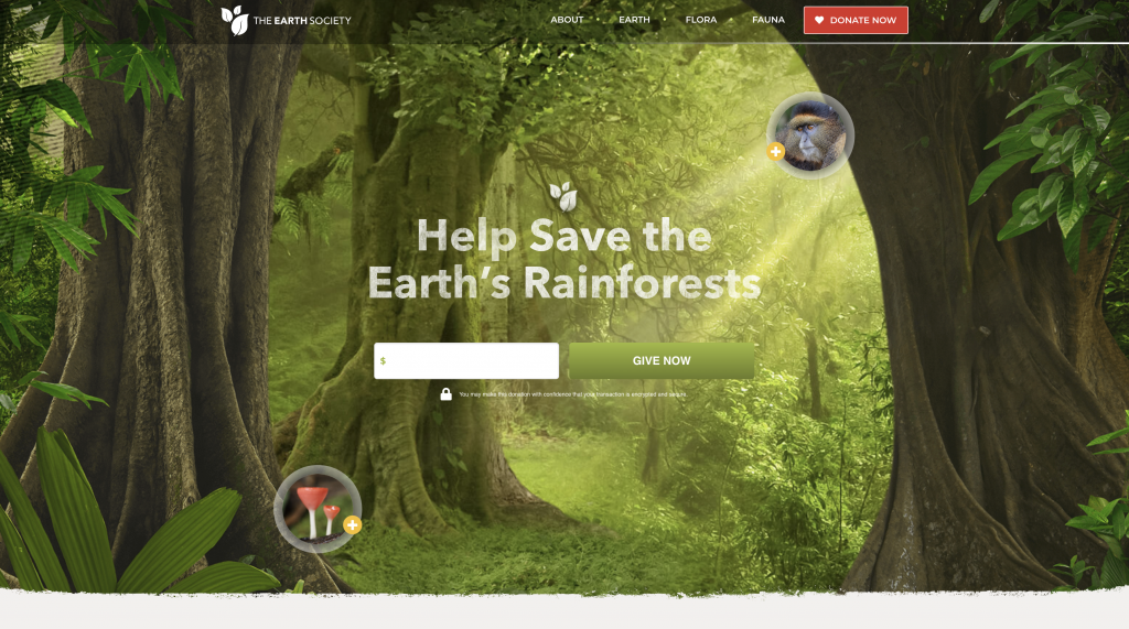 Welcome to FlexFormz | FlexFormz Documentation