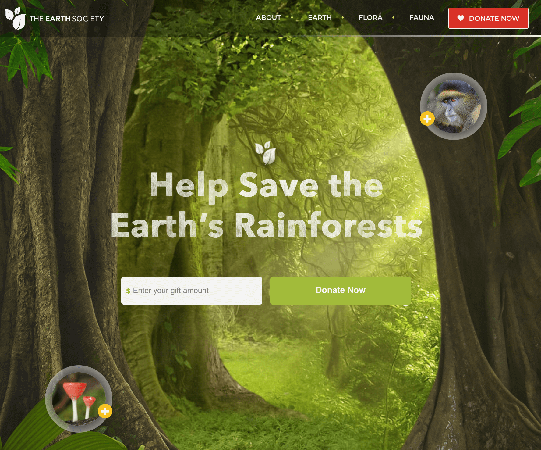 Welcome to FlexFormz - FlexFormz Documentation